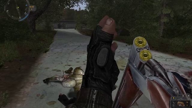 Пытаюсь заработать 100к. S.T.A.L.K.E.R. Контракт на плохую жизнь: Эффект бабочки #2