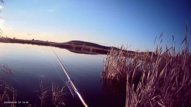 Вечерний клёв после работы. Рыбачил на кивок🎣 Наживка опарыш. Прикормка своя.