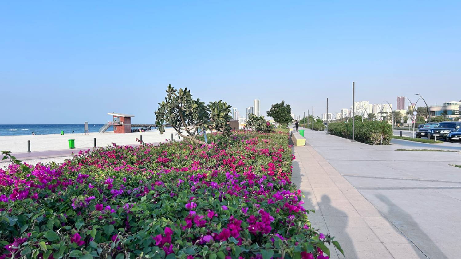 Наш размеренно   пляжный день в Шардже 😀