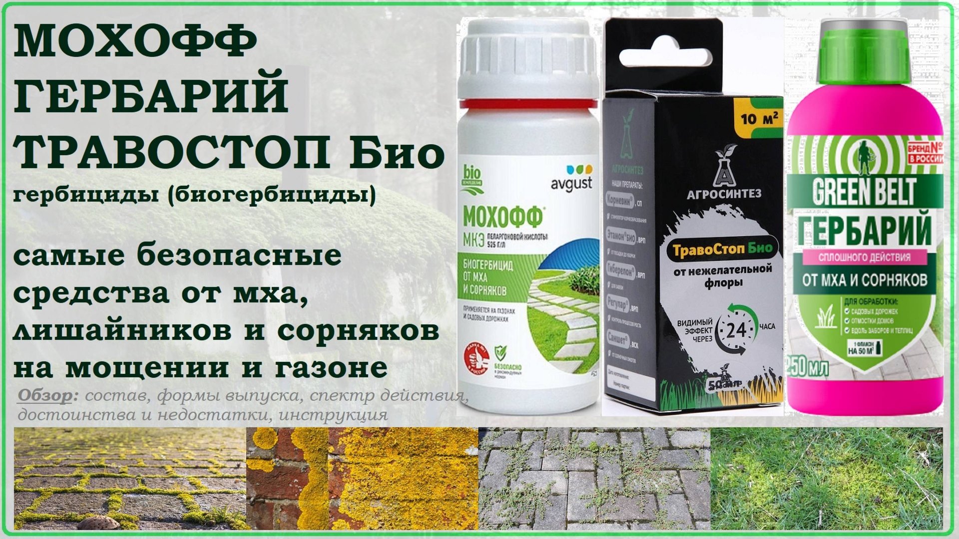 Мохофф и Травостоп- самые безопасные и быстродействующие средства от мха, лишайников и сорняков