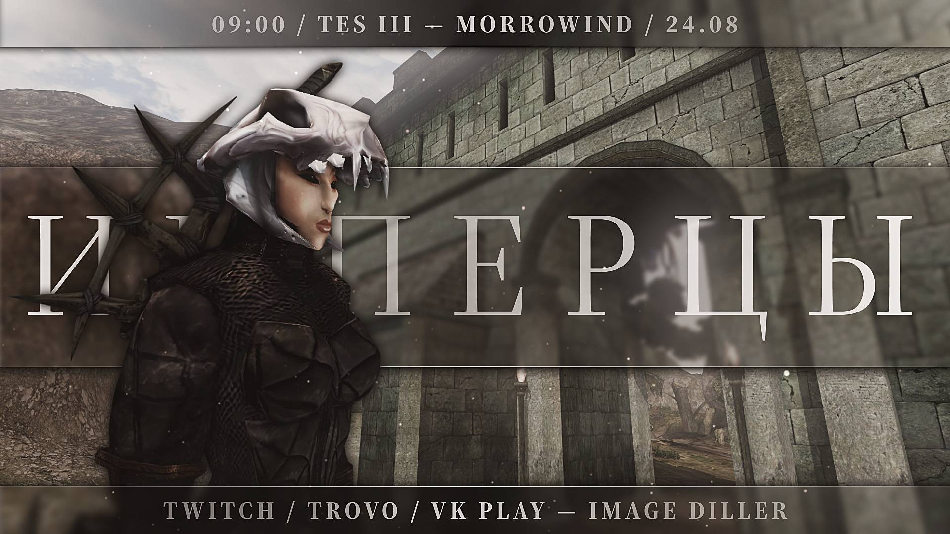 The Elder Scrolls III: Morrowind — Имперцы — #11