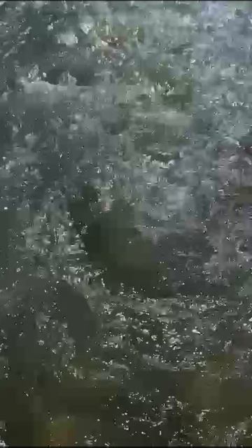 Матушка-природа