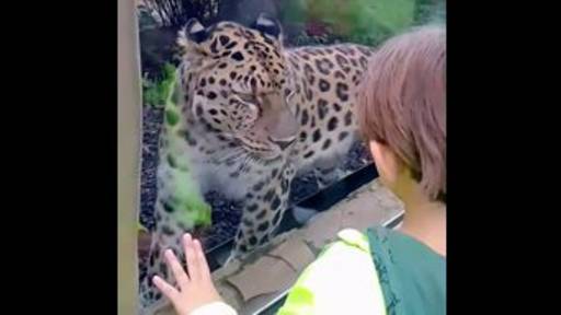 Московский зоопарк 25.08.2025