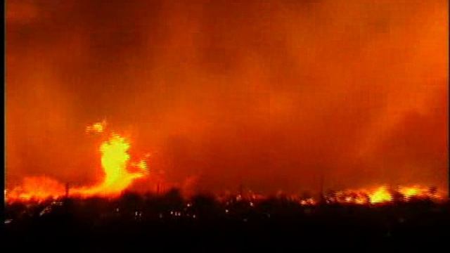 Reading Explorer - Unit 9 Wildfire Photographer