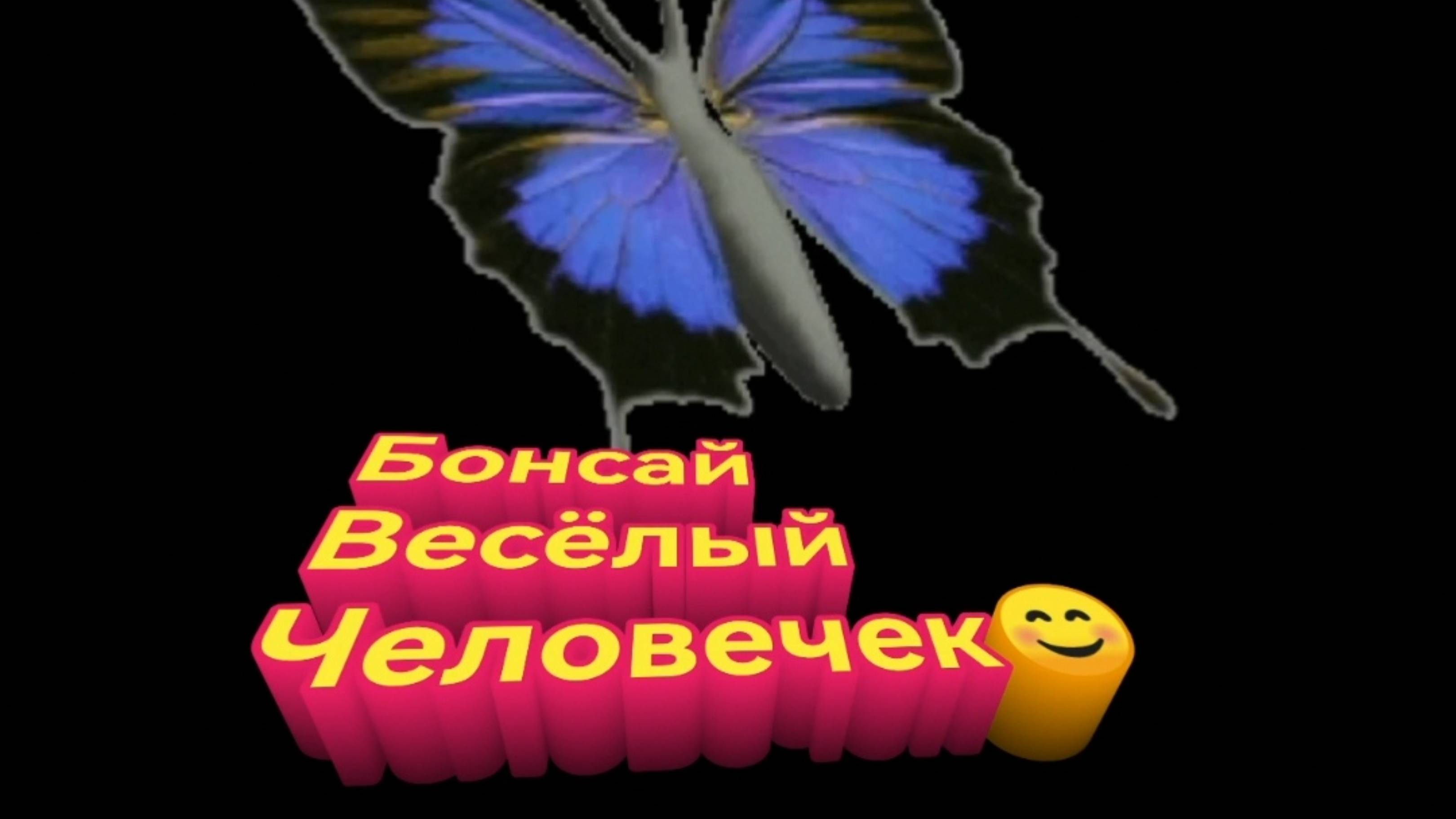 Бонсай Веселый человечек. 😊