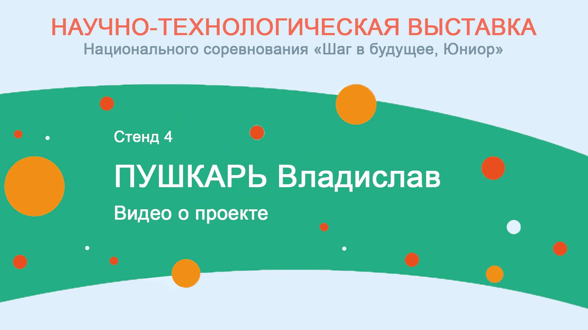 Пушкарь Владислав. Видео о проекте