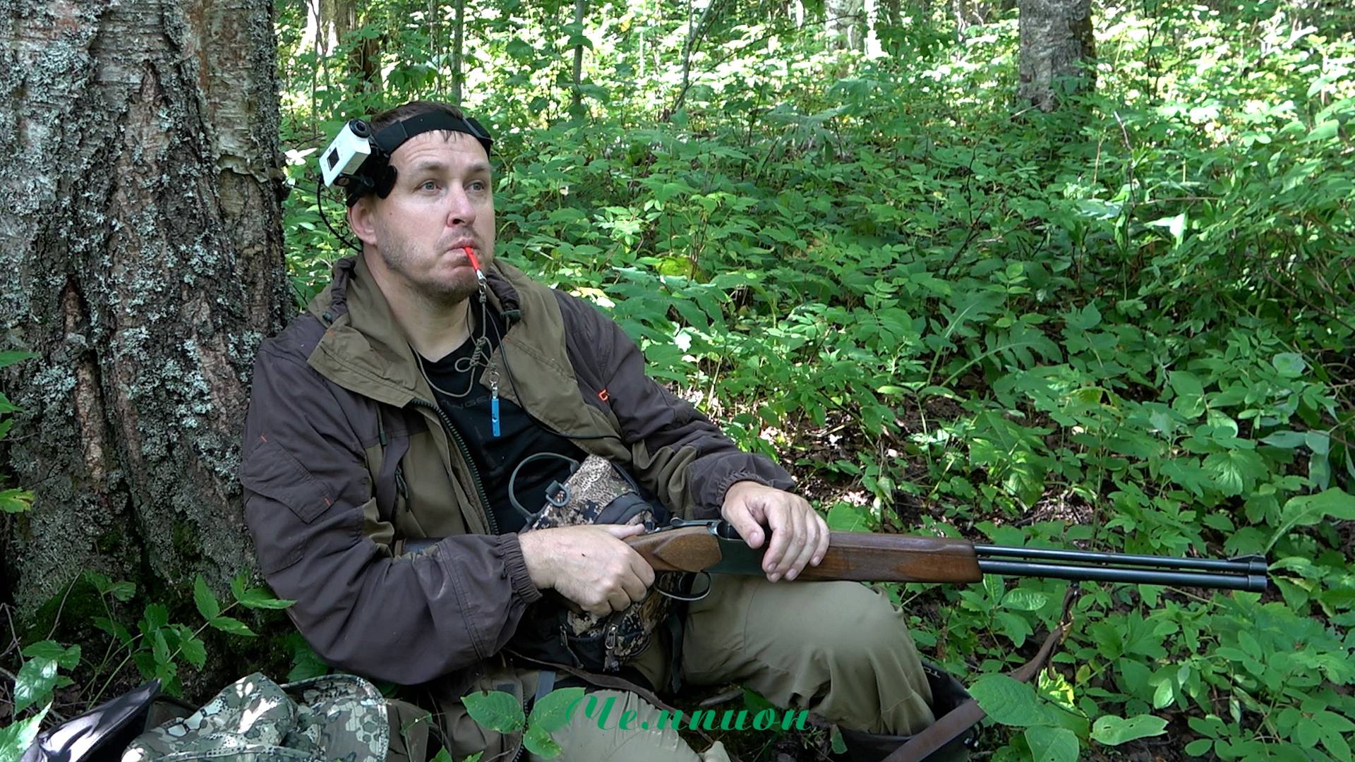 Прогулка по лесу в поисках рябчика