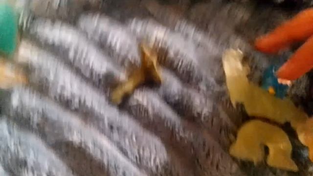 топ несколько мемов про шачу и богла