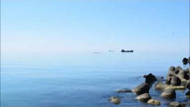 Музыка от учеников Шри Чинмоя, январь, февраль, 2016 г.