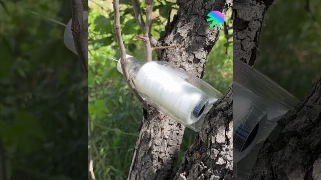 полезные бытовые лайфхаки