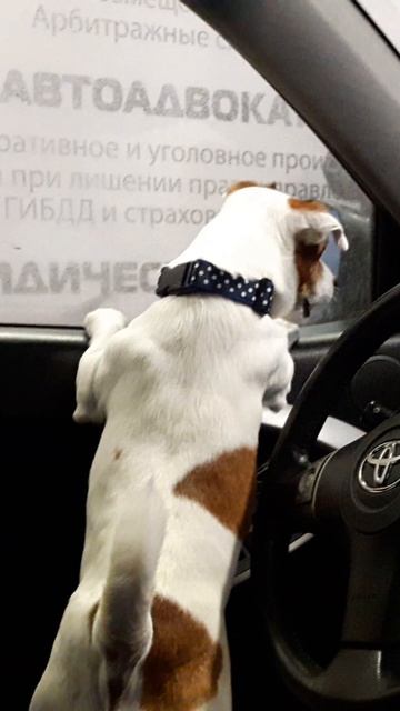 Борьба с Керхером на автомойке продолжается 😂