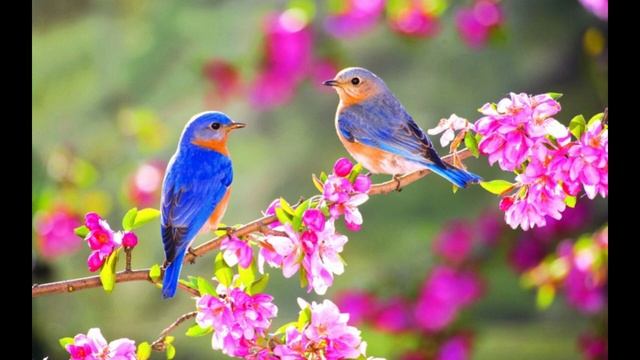 Совет УРОЛОГА слушаем и делаеееееем