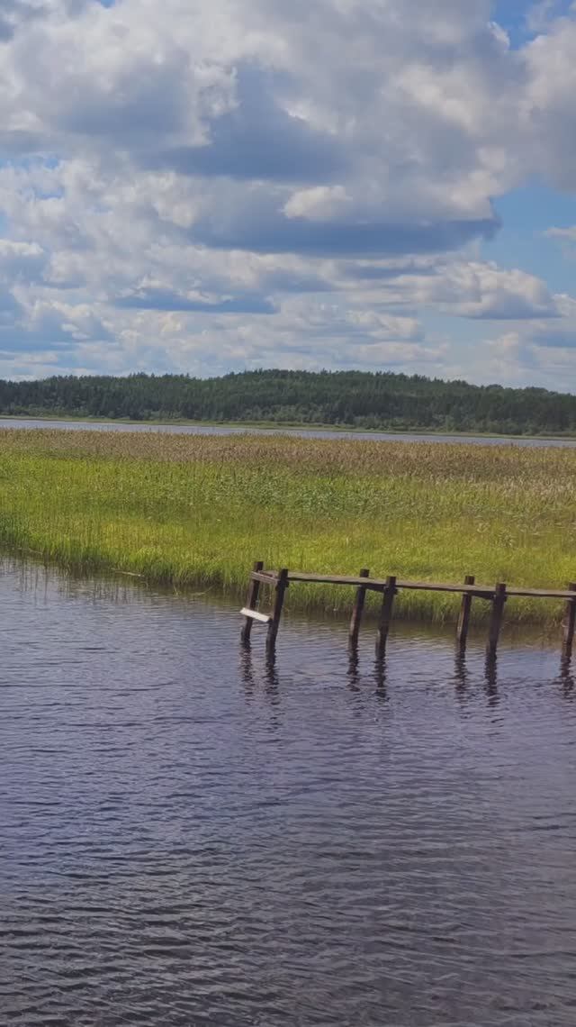 Карелия 2023. Август 2023г