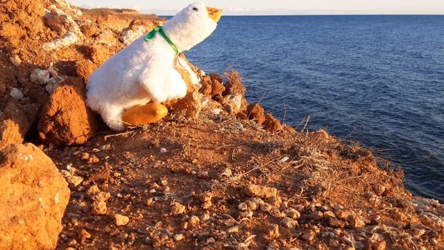 золотой и синий и белый