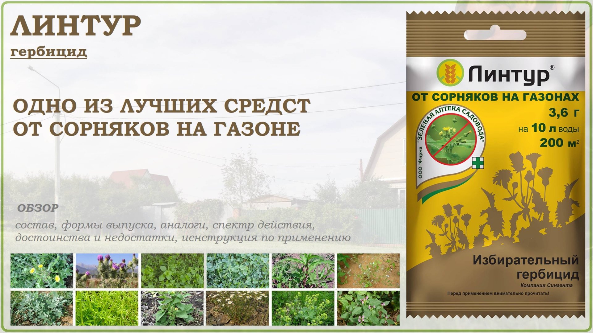 Линтур - отличное средство от сорных растений на газоне.Обзор гербицида избирательного действия