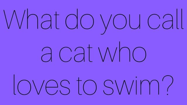 Загадка 52 Riddle 52