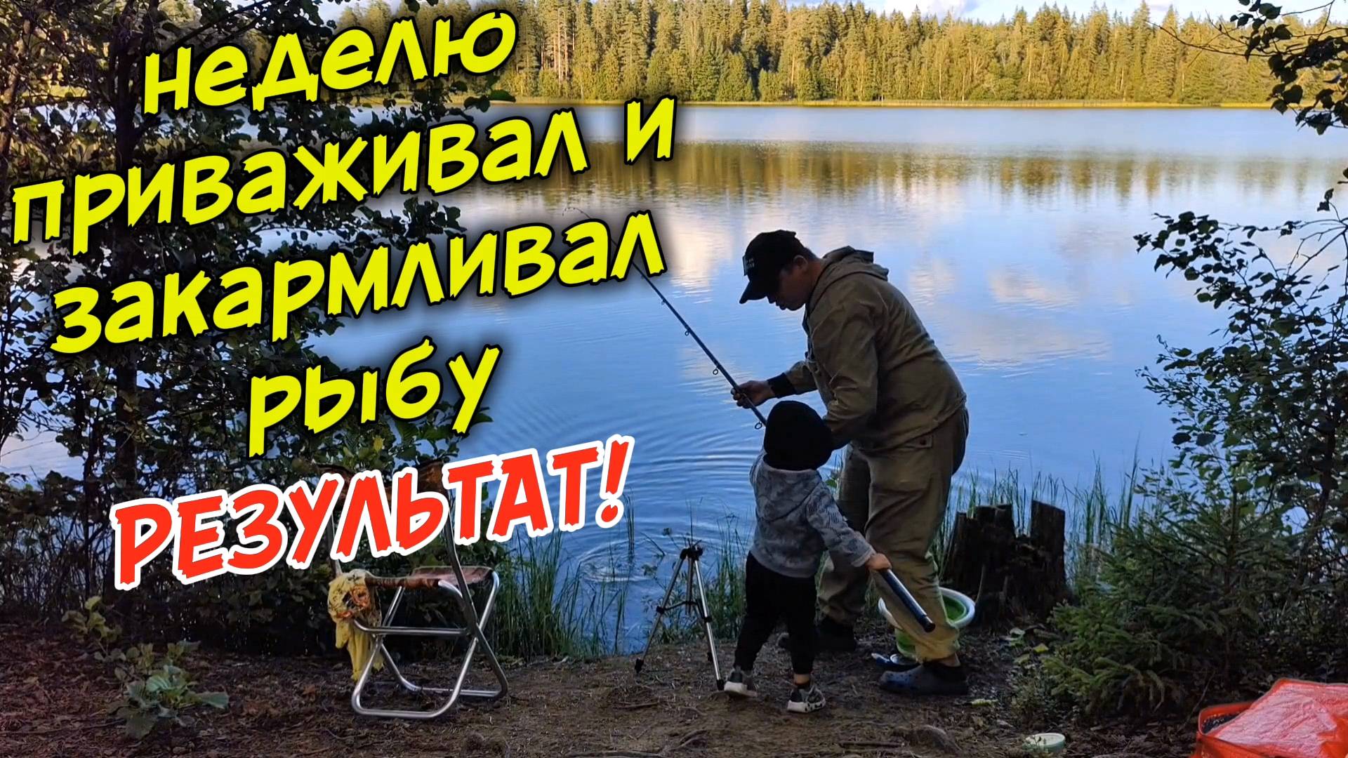 Неделю приваживал и закармливал рыбу на озере. Что из этого получилось!