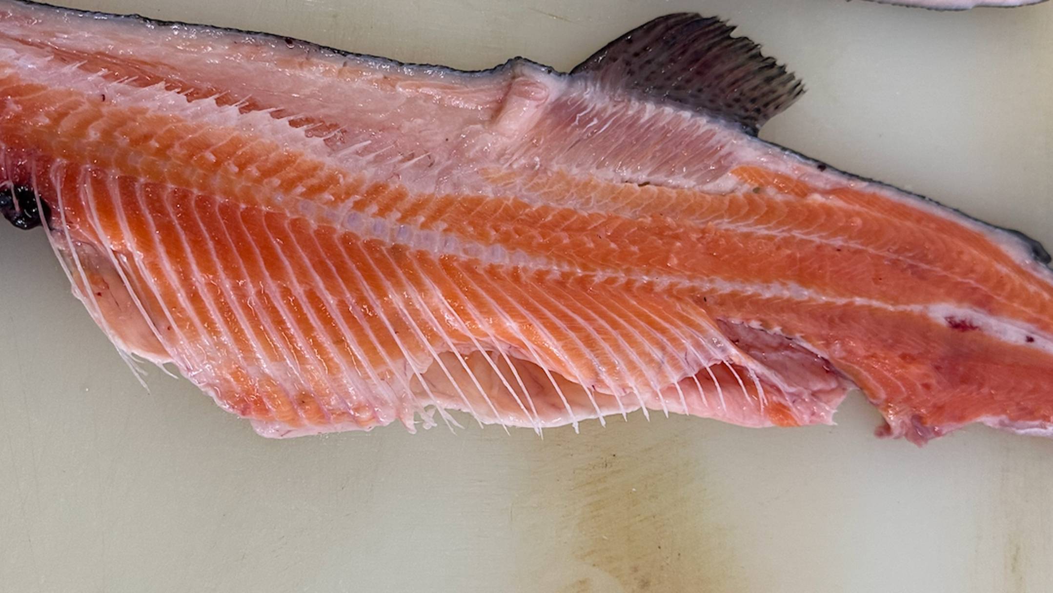 Филетировочная машина для лососевой (красной) рыбы CHSF( CHBF) -2 от CHAMCO. Выход до 86% от ПБГ.