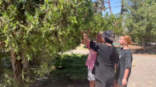 7 серия 4 отряда "Жемчужина"