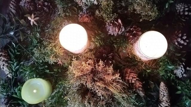 Светлана Тюльбашева — Лес! Честный обзор на приключения двух москвичек в глухих местах Карелии!