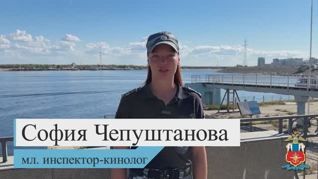 Правда ли, что каждая служебная собака обучается искать только один тип запрещённых веществ?