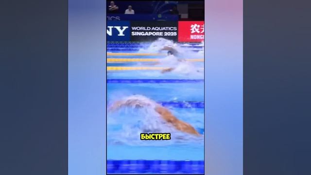 разница телосложения в плавании. чем отличаются спортсмены