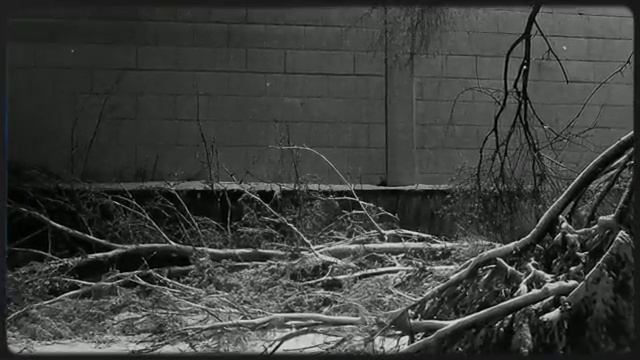 Откуда Железная Стена В Сибирской Тайге и Зачем Её Искали Цари