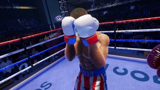 Creed Rise to Glory - VR - Бокс Виртуальная реальность