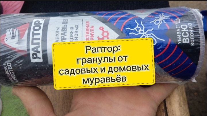 Раптор: отличное средство от садовых и домовых муравьёв, проверено, помогает! Товары от Wildberies