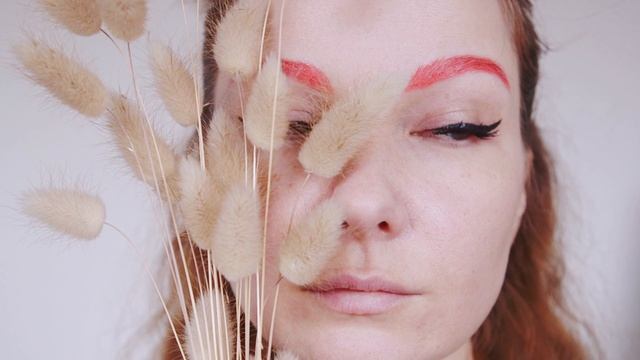 7248396-hd_1920_1080_24fps