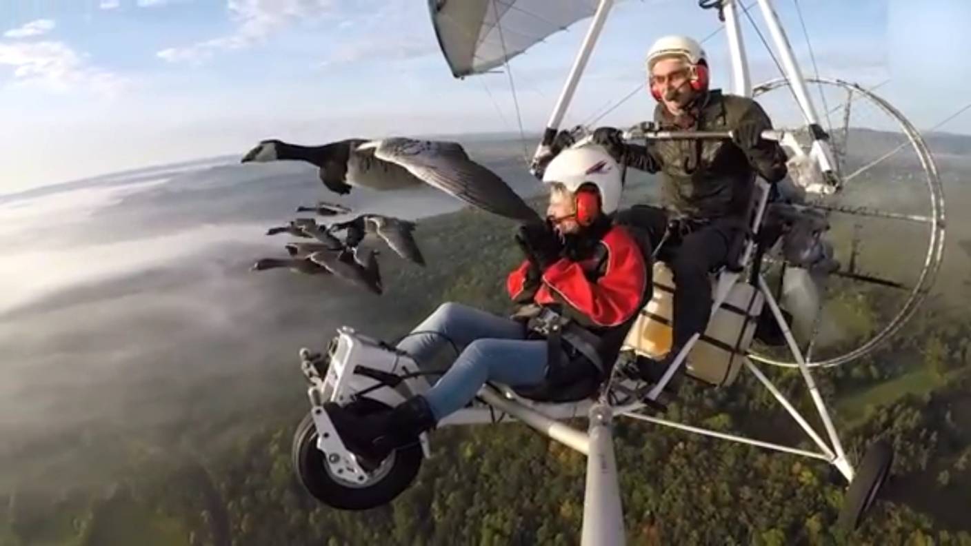 Невероятные  Моменты в Авиации, Снятые на Камеру