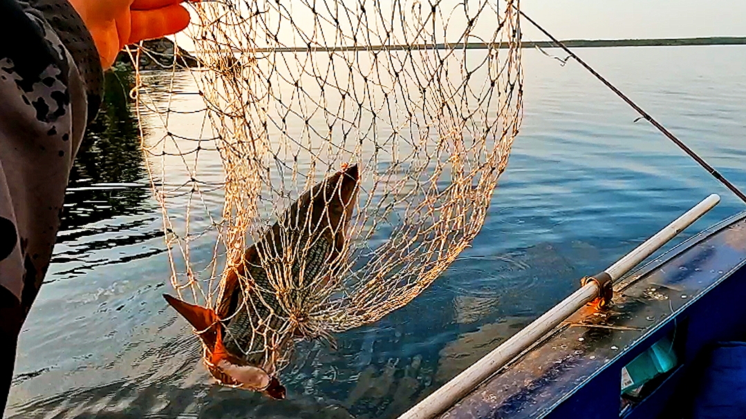 Такого монстра я поймал первый раз!