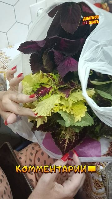 КОМУ ЗАГОТОВКИ, А КОМУ ЦВЕТОЧКИ...