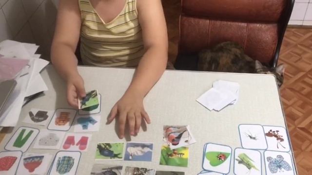 Особенные дети. Изучение категорий.