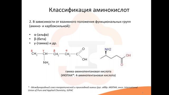 2. Аминокислоты