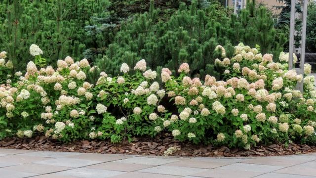 Было...а сейчас парк Ангелов. Кемерово