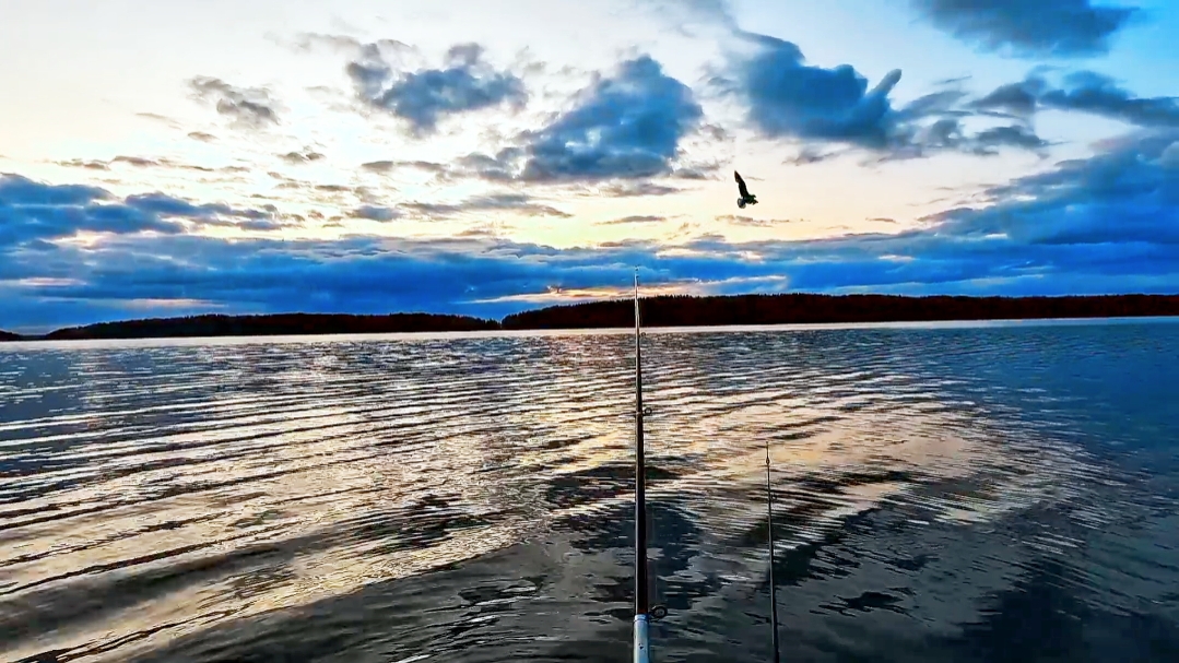 Посиделки с удочкой на берегу