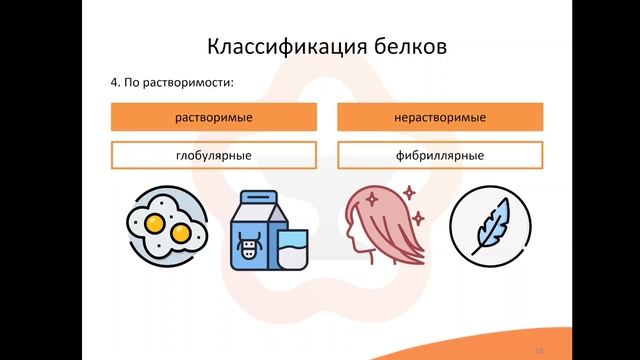 3. Пептиды и белки