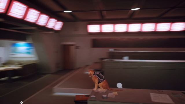 Stray №7 Конец