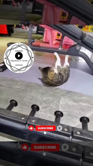Спорт - это жизнь 💪