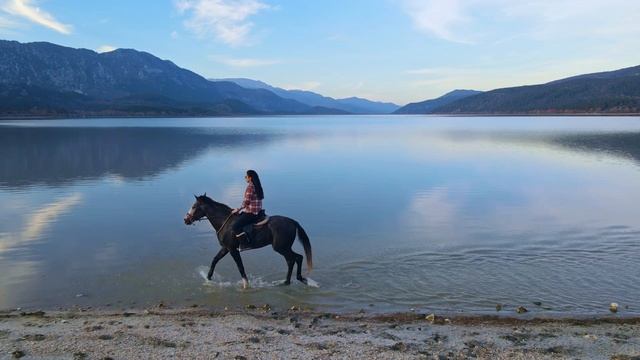 13351896_1920_1080_30fps