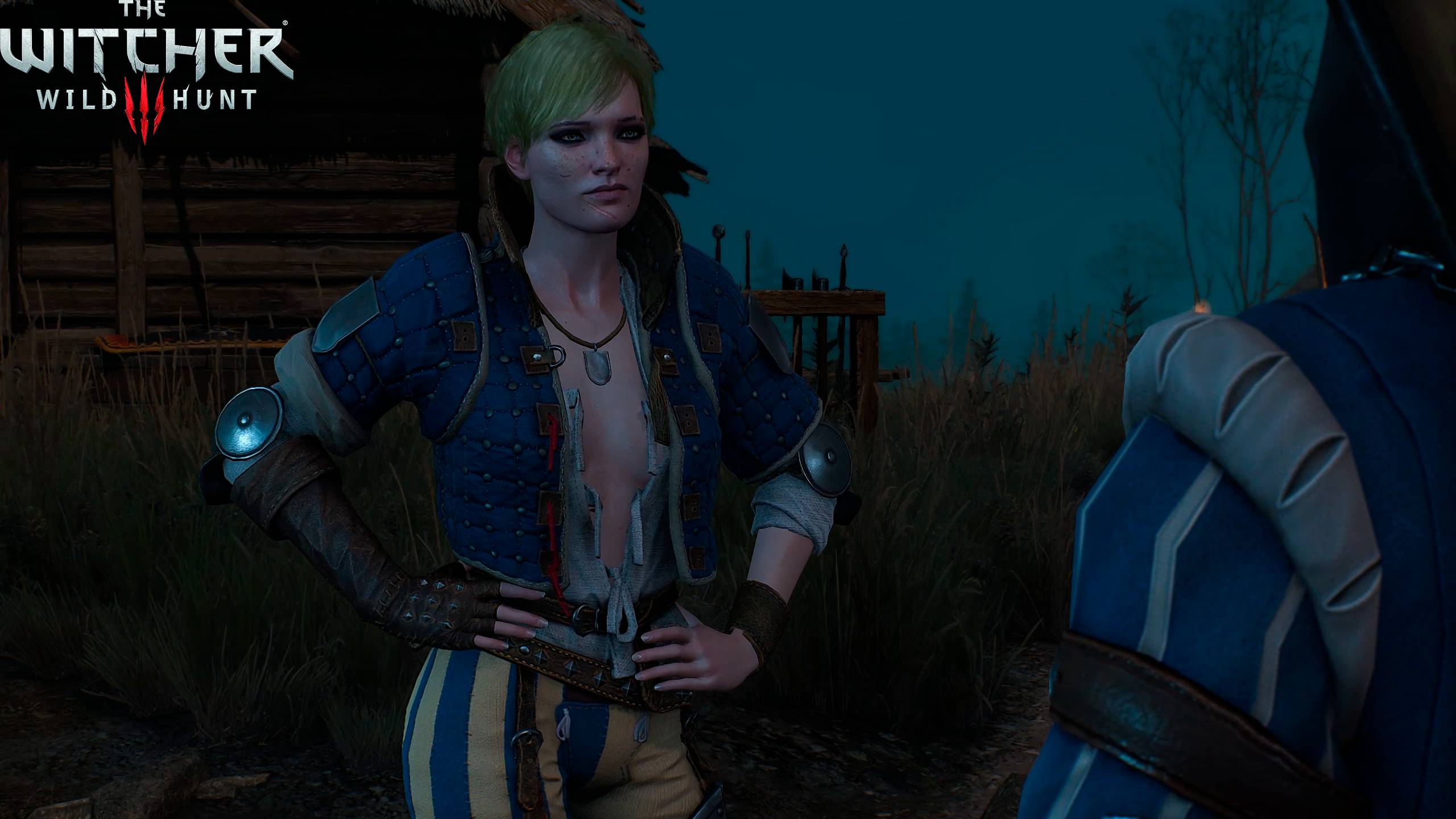 Ведьмак 3 - побочка #16 - Око за око (продолжение задания "Охота за Младшим")