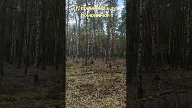 Миром Господу помолимся