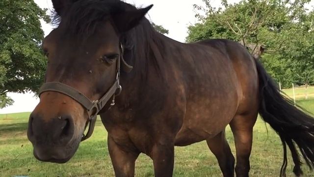 854633-hd_1280_720_30fps