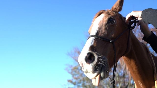 4472523-hd_1920_1080_25fps