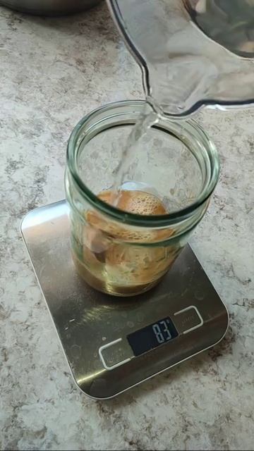 Вывожу закваску на абрикосах. День второй