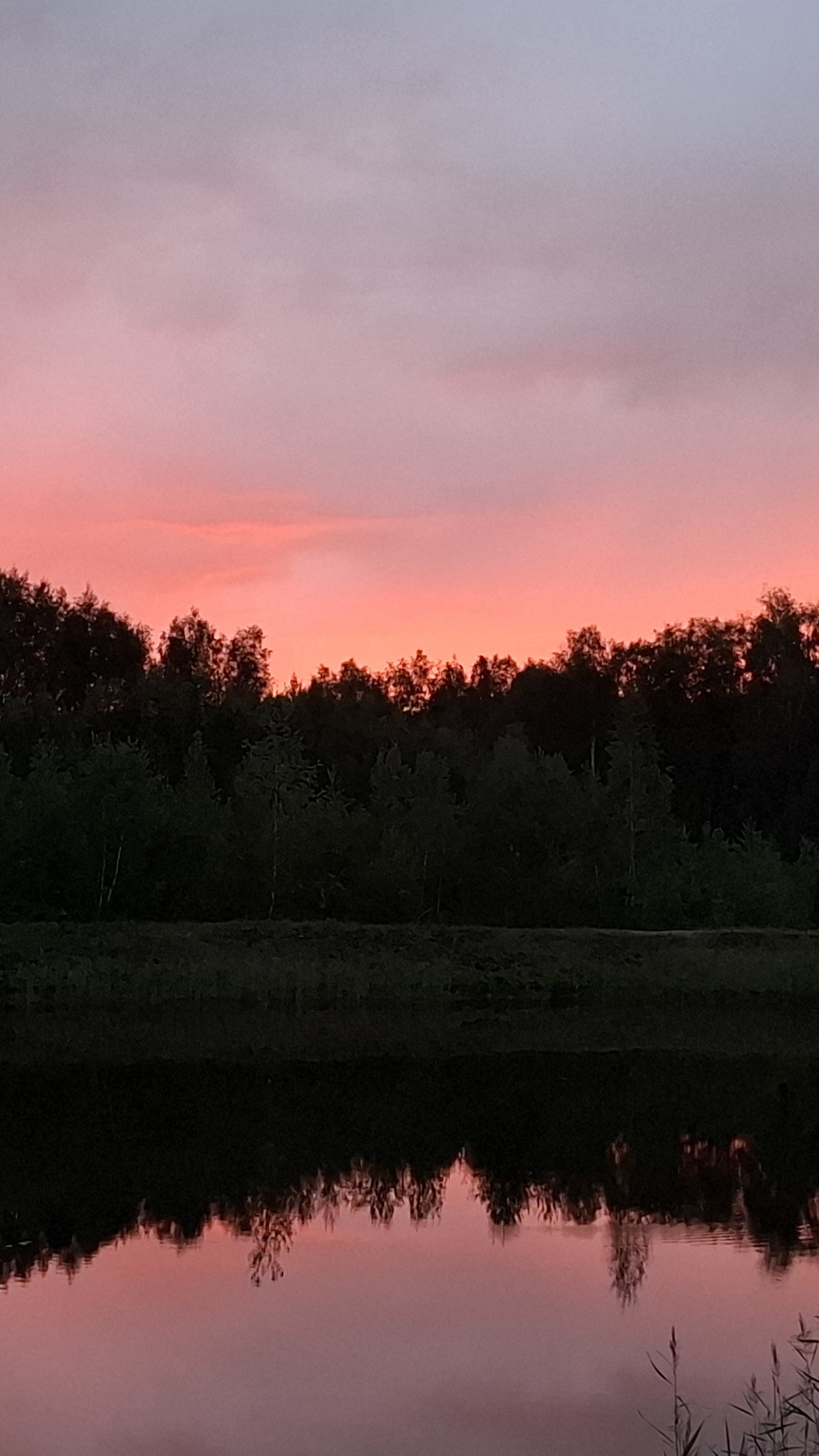 Делюсь дачным закатом БЕСПЛАТНО. С вас ЛАЙК И ПОДПИСКА #дача #природа #красотанеимеетстандартов