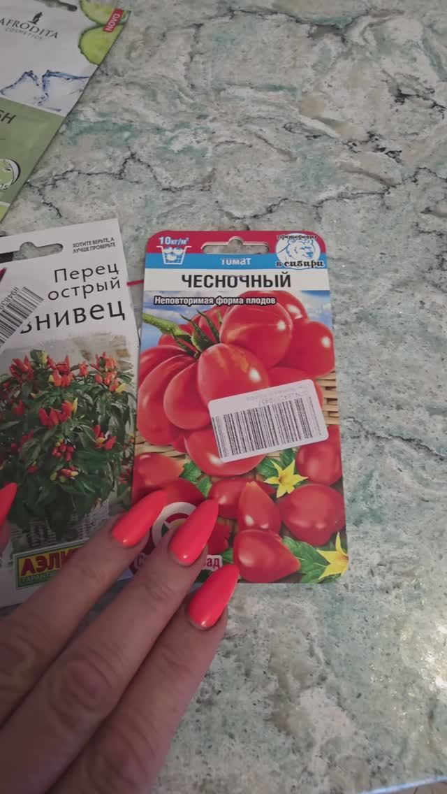 Начинаю создавать зимний огород к Новому году, сажаю томат путешественника и перчики