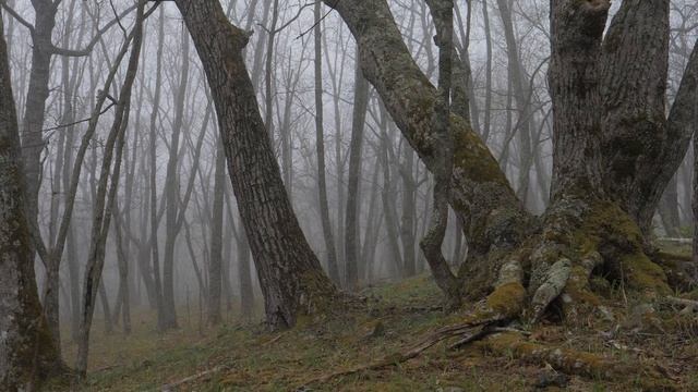 Священная роща Артемиды 2025 (Таис Афинская)