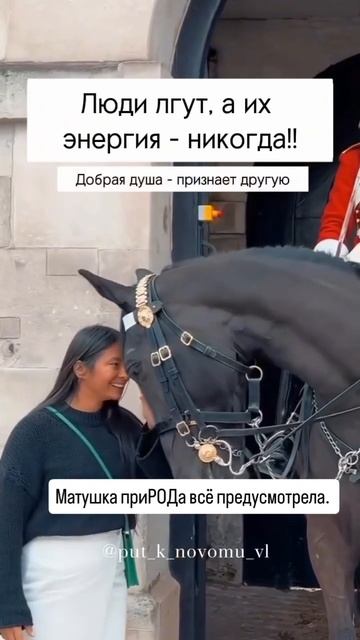 Они все чувствуют